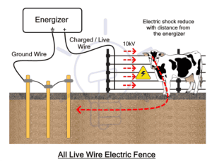Electric Fence - Working, Types, Protection and Installation