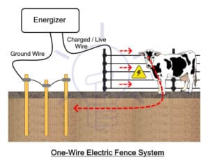 Electric Fence - Working, Types, Protection and Installation